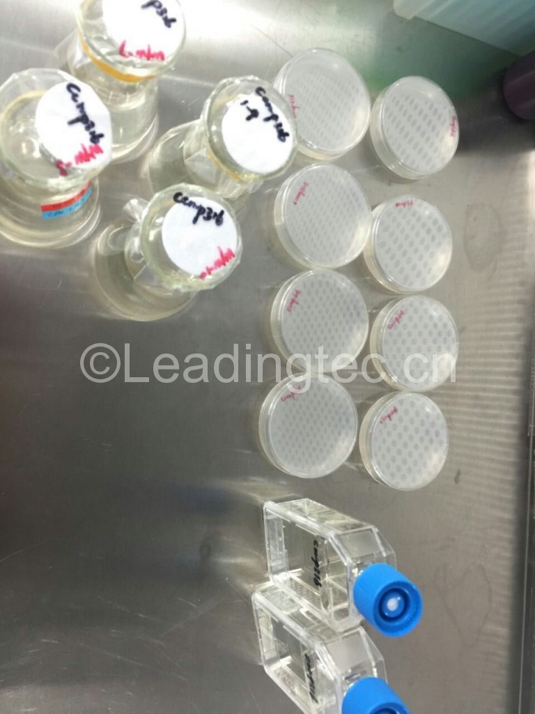 寇氏隐甲藻(Crypthecodinium cohnii)购买扩培经历 | 上海光语生物科技有限公司