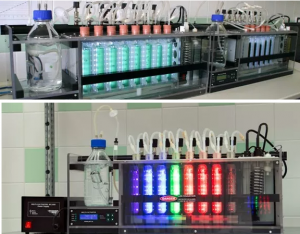 国外微藻培养系统的商业化 | 上海光语生物科技有限公司