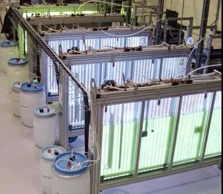 国外微藻培养系统的商业化 | 上海光语生物科技有限公司