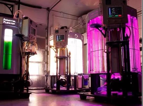 国外微藻培养系统的商业化 | 上海光语生物科技有限公司