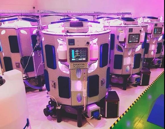 国外微藻培养系统的商业化 | 上海光语生物科技有限公司